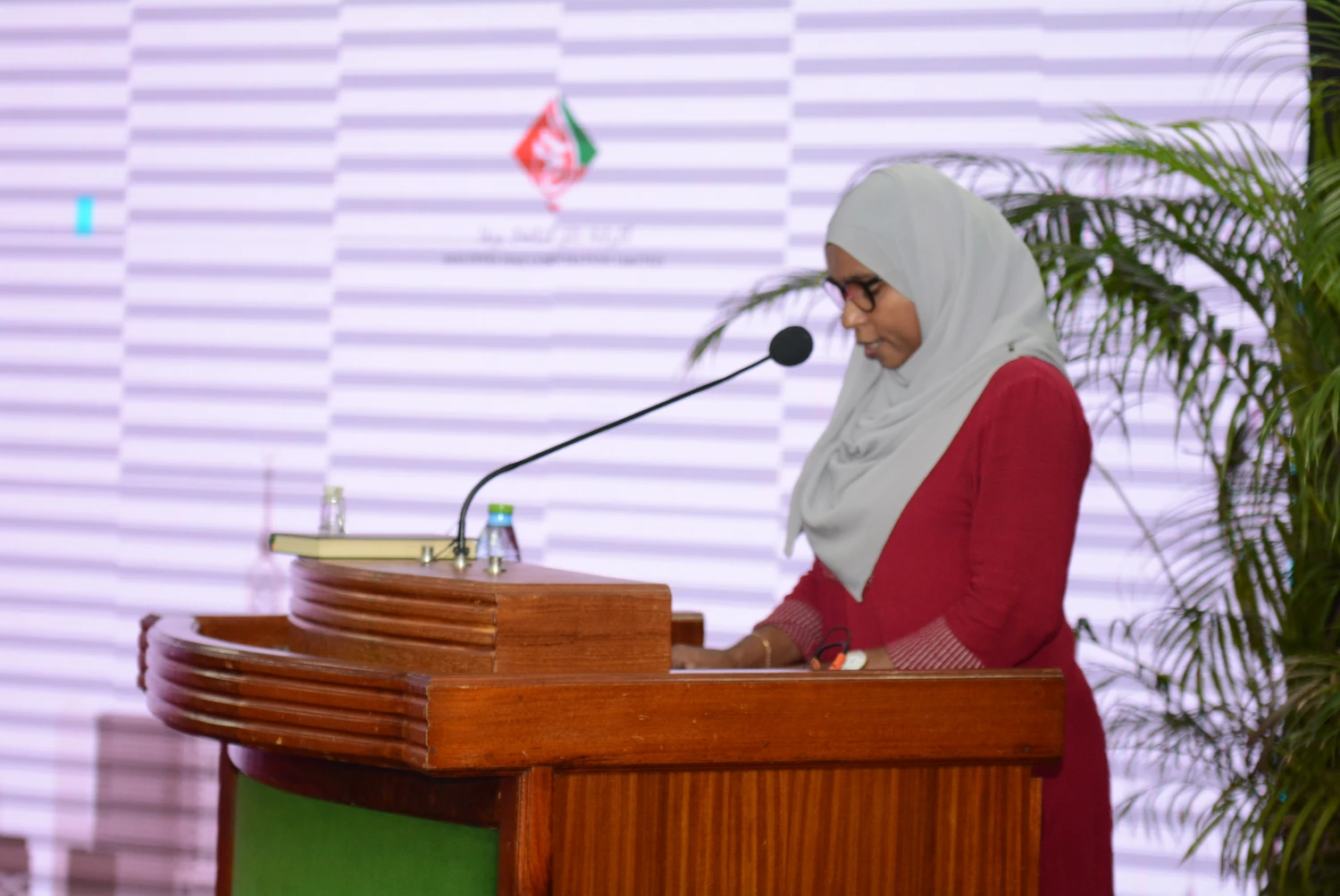 Malé city council - Galleries